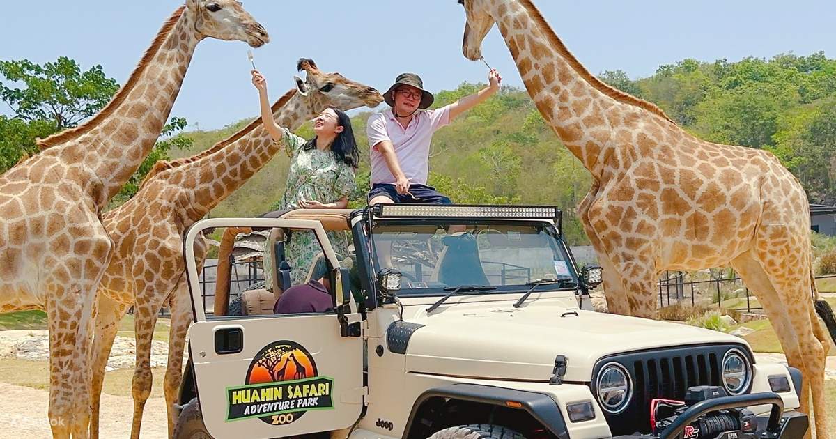 Private Hua Hin Safari Encounter Giraffe Day Tour From Bangkok by AK - Klook